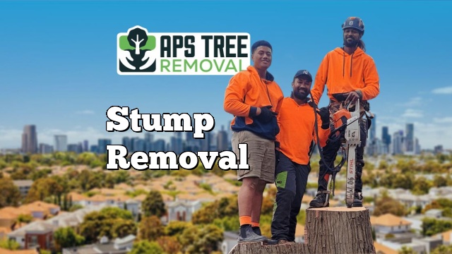 Stump Removal - Kane McKill Tree Service ☎️ 0415 126 757